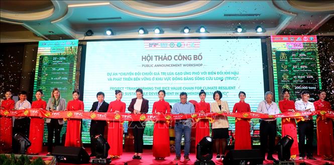 Australia hỗ trợ 16 triệu đô la cho dự án chuyển đổi chuỗi giá trị lúa ...