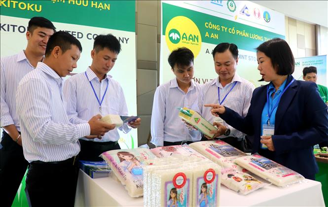 Australia hỗ trợ 16 triệu đô la cho dự án chuyển đổi chuỗi giá trị lúa ...