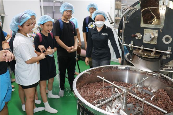 Về miền Tây Nam Bộ thưởng thức chocolate chính hiệu Việt Nam - Ảnh thời sự trong nước - Văn hoá ...