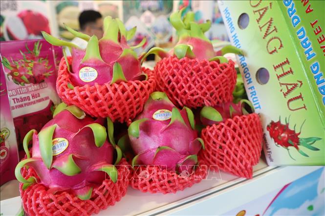 Vietnamese fruits promoted in Berlin exhibition - VNA Photos - Vietnam ...