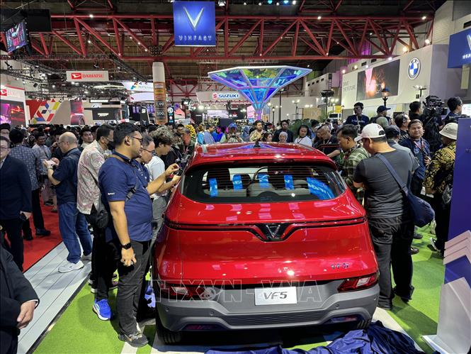 VinFast introduces first right-hand drive electric vehicles - VNA ...