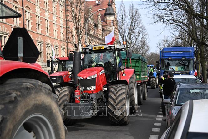 Nông dân Ba Lan biểu tình quy mô lớn trên toàn quốc - Ảnh thời sự quốc ...