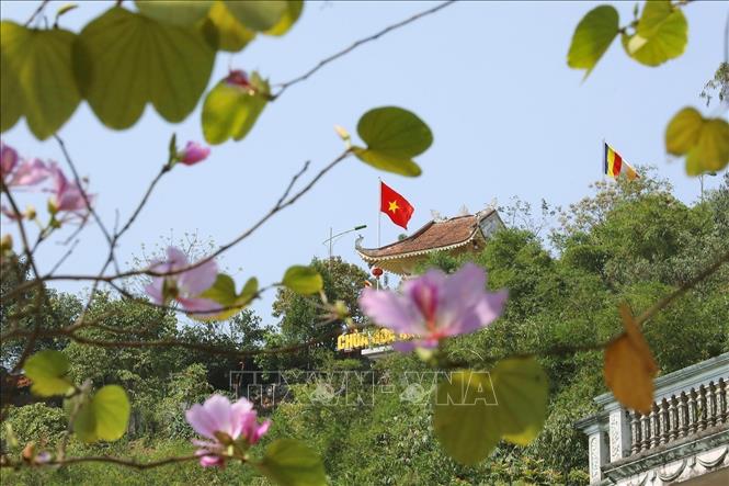 Hoa Binh turns romantic during ban flowers season - VNA Photos ...
