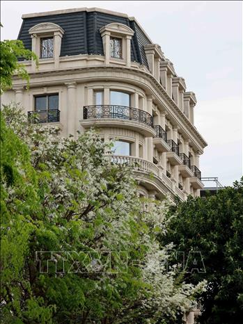 Sua flowers in full bloom on the streets of Hanoi - VNA Photos ...