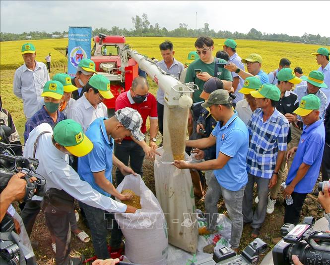 Over 1 million to be trained for massive high-quality rice project ...