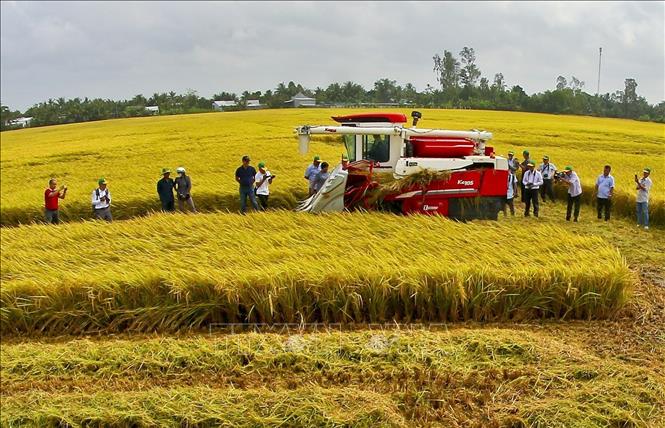 Over 1 million to be trained for massive high-quality rice project ...