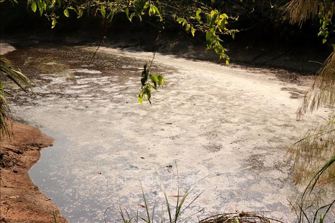 Vụ cá chết ở khe Rào Trường (Quảng Trị): Nước xả thải từ trang trại ...