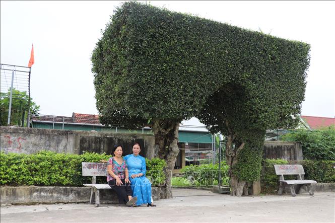 Diện mạo mới trên quê hương Tổng bí thư Trần Phú - Ảnh thời sự trong nước - Văn hoá & Xã hội ...