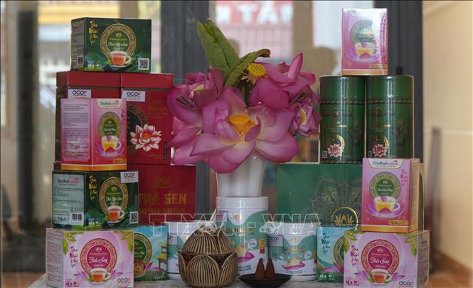 Đồng Tháp có 56 sản phẩm OCOP chế biến từ cây sen - Ảnh thời sự trong ...