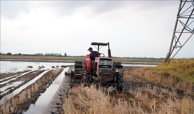Nông dân vùng ảnh hưởng khô hạn ở Kiên Giang khẩn trương xuống giống ...