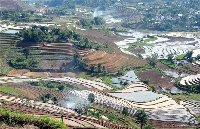 Lai Chau landscape transforms with new crop planting season - VNA ...