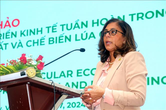 Tiềm năng phát triển kinh tế tuần hoàn từ phụ phẩm lúa, gạo - Ảnh thời ...