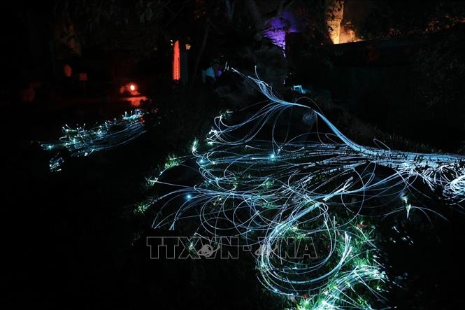 Massive light show amuses visitors to Hue Festival 2024 - VNA Photos ...