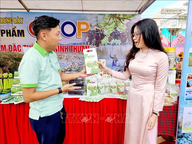 Ninh Thuận tăng cường quảng bá, liên kết tiêu thụ các sản phẩm OCOP ...