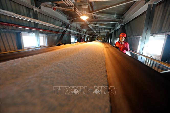 Petrovietnam posts 19-billion-USD revenue in H1 - VNA Photos - Vietnam ...