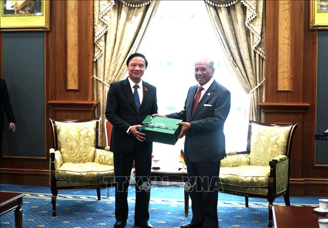Hoạt động của Phó Chủ tịch Quốc hội Nguyễn Khắc Định tại Brunei ...