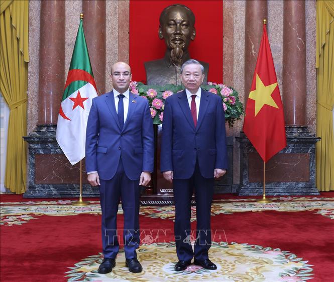 Tổng Bí thư, Chủ tịch nước Tô Lâm tiếp Đại sứ Algeria đến trình Quốc thư - Ảnh thời sự trong ...