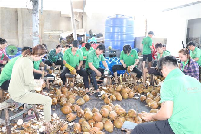 China's door opened wide for Vietnamese agricultural product exports ...