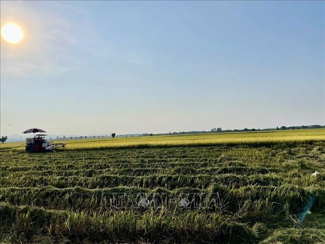 Super Typhoon Yagi to hit northeastern mainland on September 7 - VNA ...