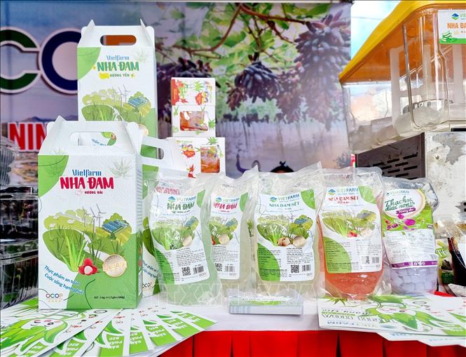 Ninh Thuan promotes local agricultural products with OCOP standard ...