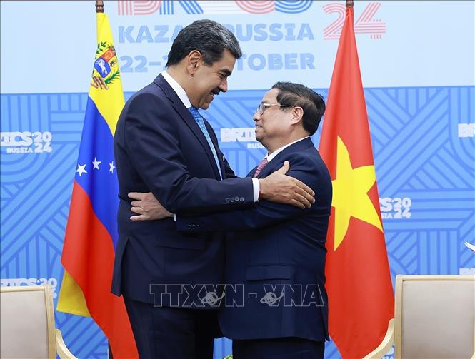 PM meets with world leaders, organisation leaders on BRICS Summit sidelines - VNA Photos ...