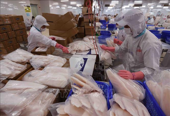 Tra fish sector targets 2 billion USD of export turnover in 2024 - VNA ...