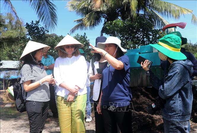 Canadian delegation explores low-emission, high-quality rice farming ...