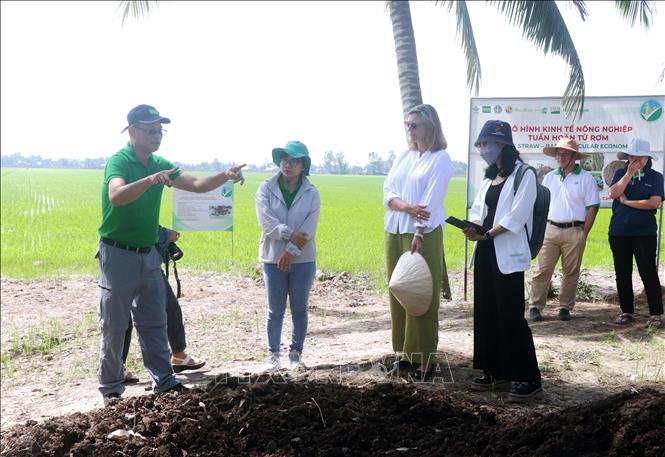 Canadian delegation explores low-emission, high-quality rice farming ...