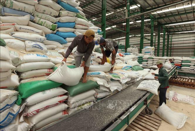 Rice export sets new record in 2024, but 2025 forecast to be tough ...