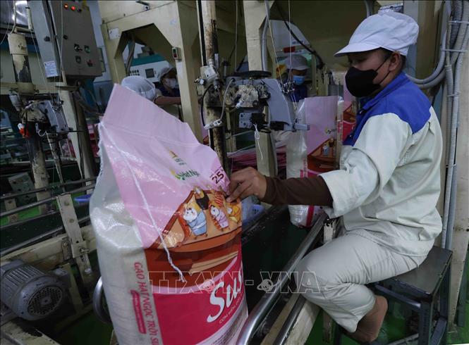 Rice export sets new record in 2024, but 2025 forecast to be tough ...