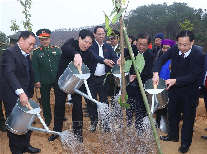 President attends tree planting festival in Lang Son province - VNA ...