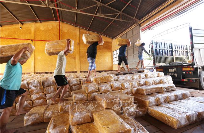 High demand buoys rubber export in 2024 - VNA Photos - Vietnam News ...