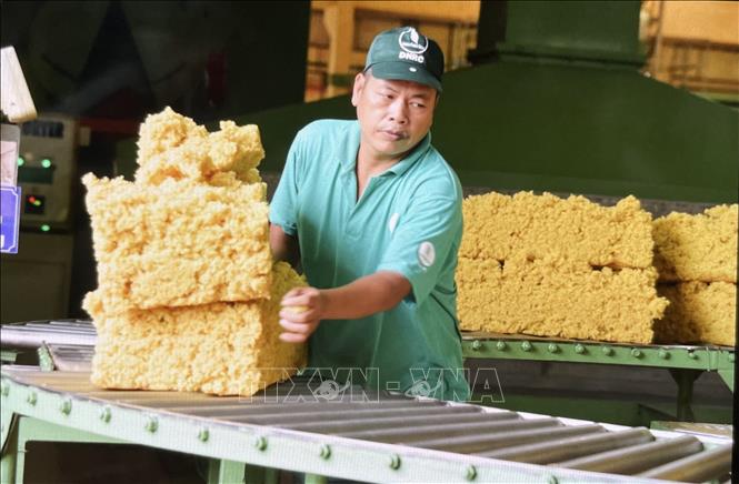 Vietnam’s rubber export expected to hit 11 billion USD in 2025 - VNA ...
