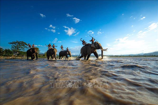 Về với Tây Nguyên đại ngàn “mùa con ong đi lấy mật” - Ảnh thời sự trong ...