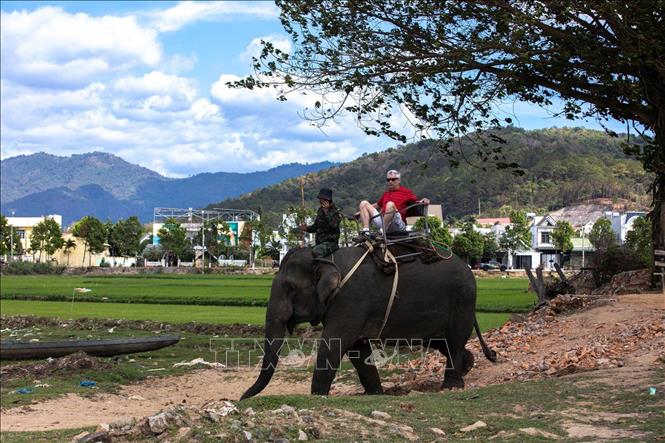 Về với Tây Nguyên đại ngàn “mùa con ong đi lấy mật” - Ảnh thời sự trong ...