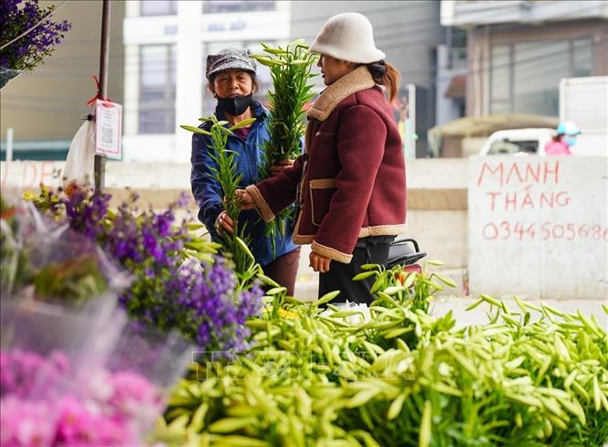 Nhớ mùa loa kèn tháng Tư - Ảnh thời sự trong nước - Văn hoá & Xã hội ...