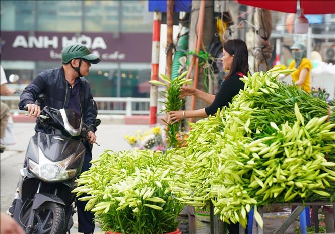 Nhớ mùa loa kèn tháng Tư - Ảnh thời sự trong nước - Văn hoá & Xã hội ...
