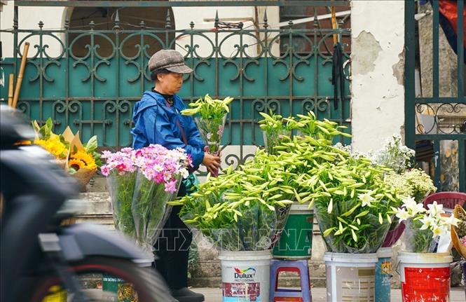 April is the season of lilies - VNA Photos - Vietnam News Agency (VNA)