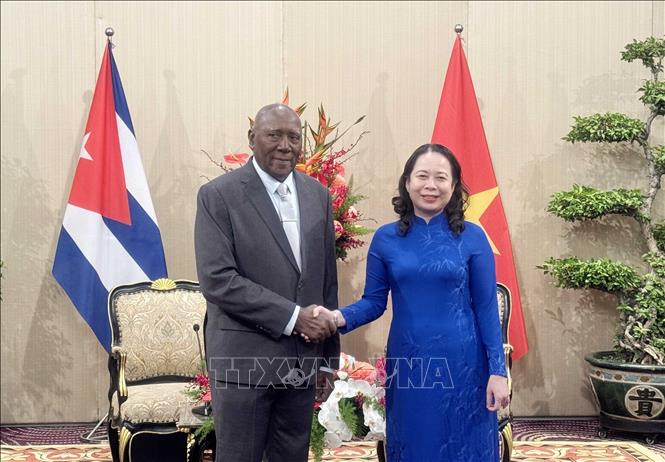 Vice President meets with Cuban counterpart in Ho Chi Minh City - VNA ...
