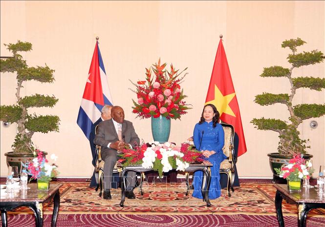 Vice President meets with Cuban counterpart in Ho Chi Minh City - VNA ...