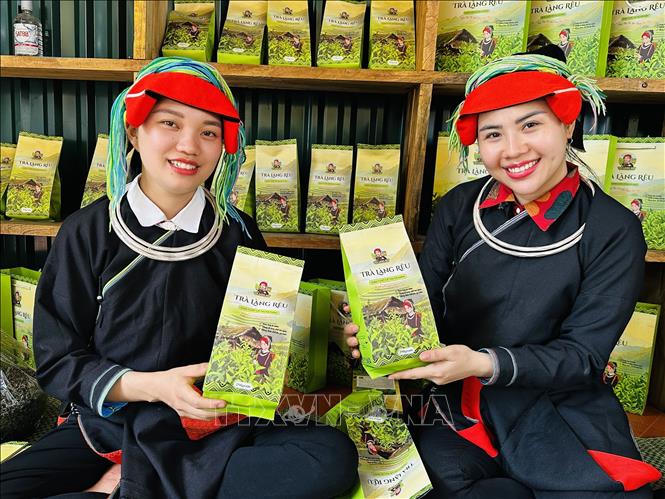 Dao woman builds success story with Shan Tuyet tea - VNA Photos ...