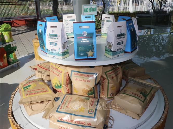 Vietnam to export first batch of low-emission rice - VNA Photos ...