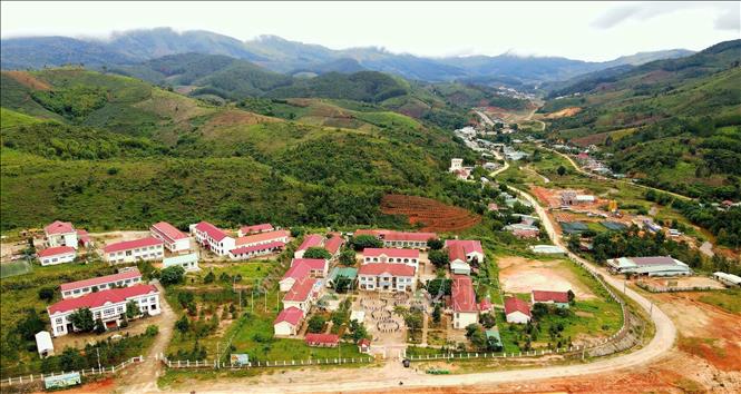 Chặng đường 20 năm phát triển trở thành “thủ phủ” trồng sâm Ngọc Linh ...