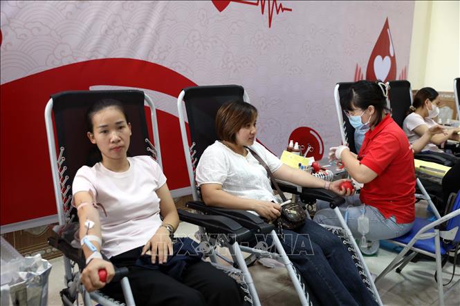 Chương trình “Giọt hồng chia sẻ” tại Ninh Bình - Ảnh thời sự trong nước ...