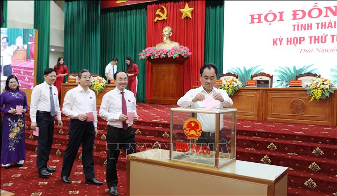 Thông tấn xã Việt Nam (TTXVN)