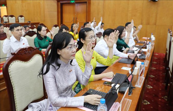 Thông tấn xã Việt Nam (TTXVN)