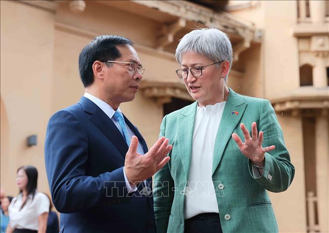 Bộ trưởng Ngoại giao Australia tham quan Bảo tàng Lịch sử quốc gia Việt ...