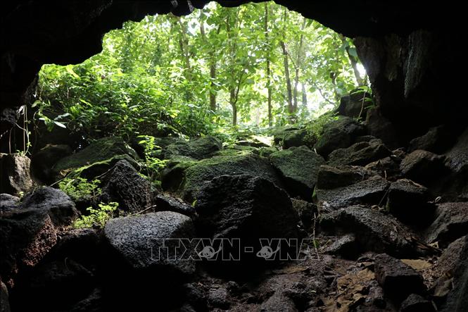 Beneath Vietnam’s forest, a cave system ranks among Southeast Asia’s ...