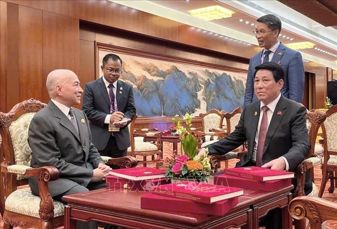 State President Luong Cuong meets foreign leaders at victory-over ...