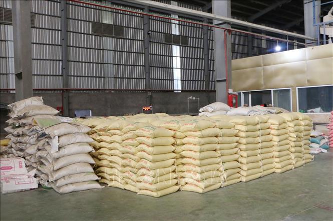Vietnam exports nearly 5.9 million tonnes of rice - VNA Photos ...